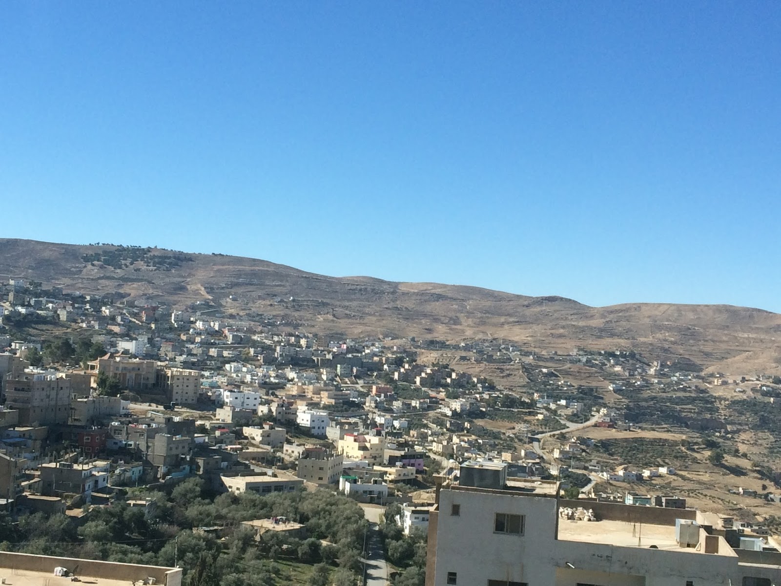 Tolley's Adventures: The Women's Clinic in Tafila