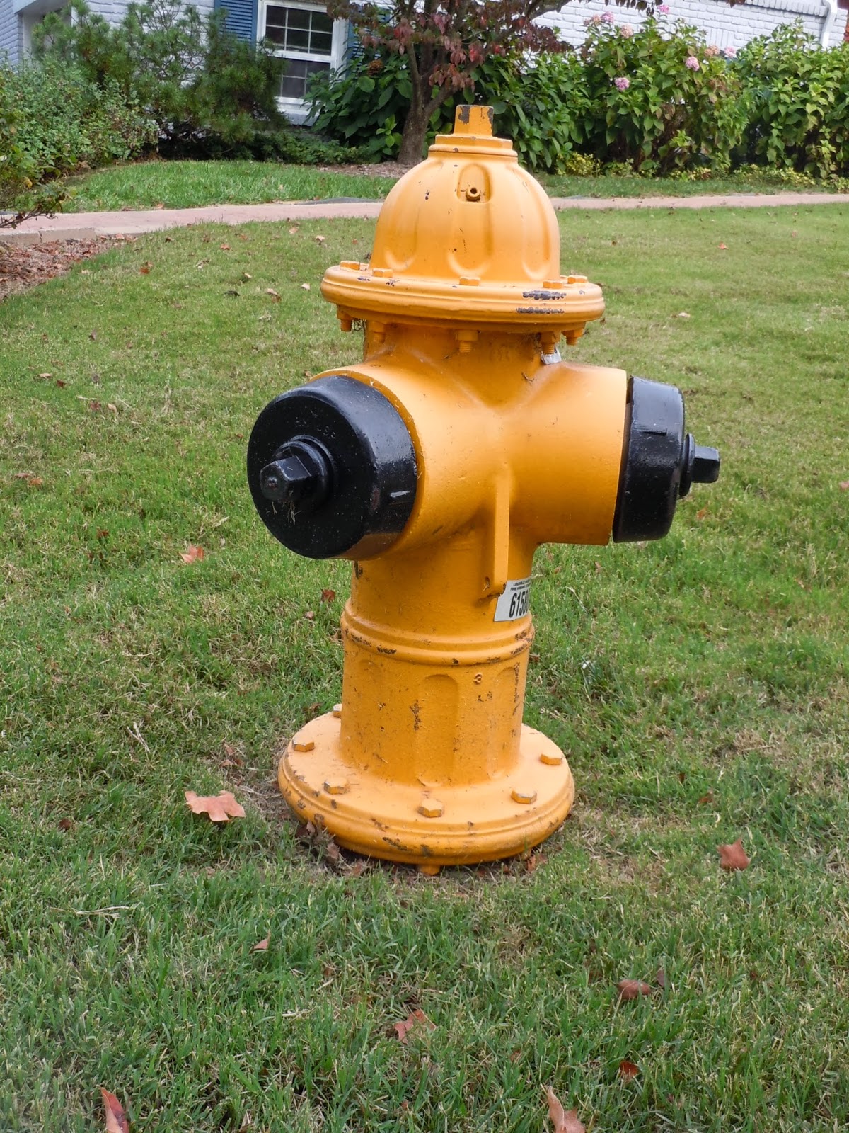 Kathy's Daily Art: Photo suite 101 -- yellow hydrants