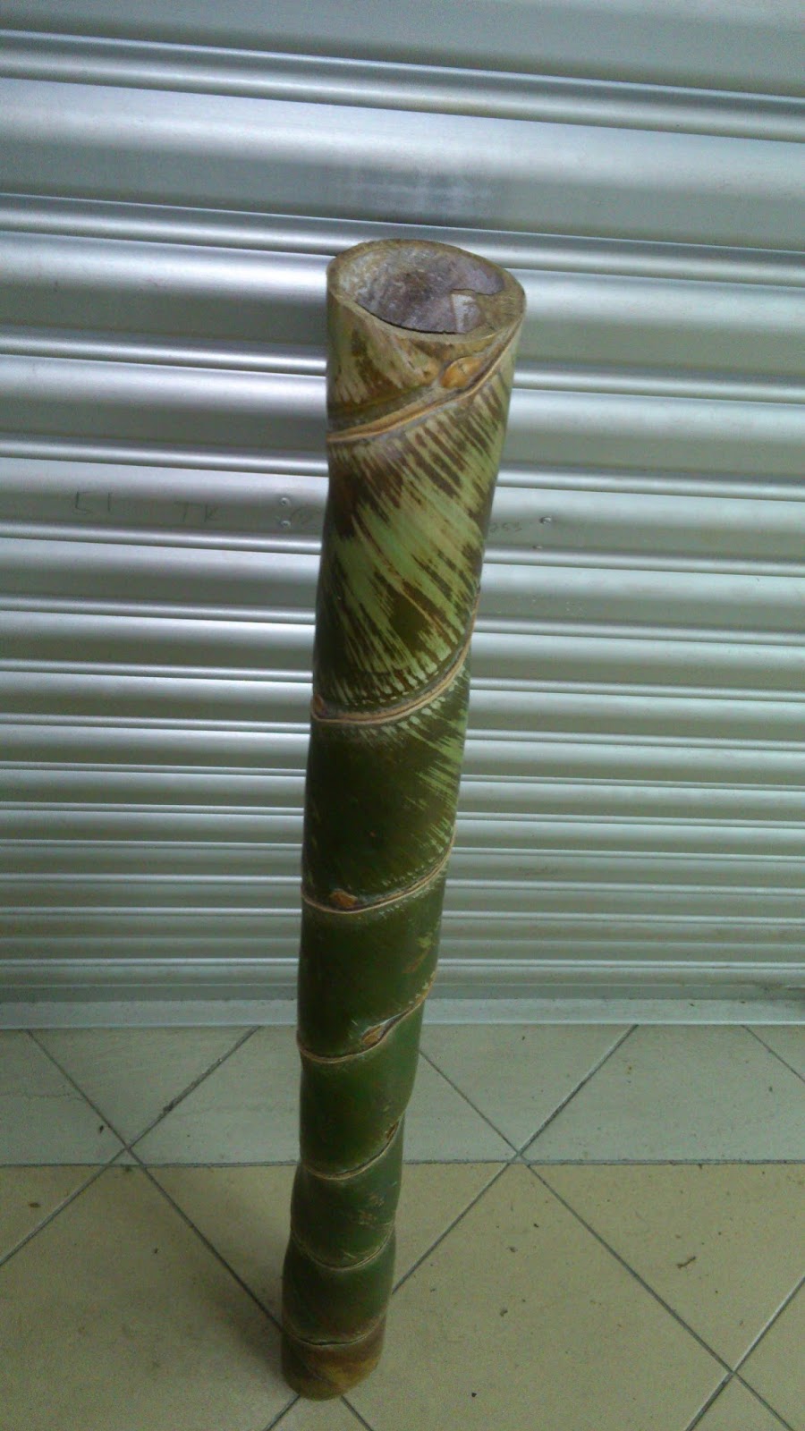 ZAMRUD TECHNOLOGY: Natural Unique & Rare (2) ~ Raja Buluh/Buluh Akar ...