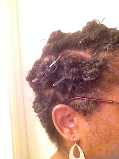 My Natural Hairstyles: How to do - Micro 2-strand twists