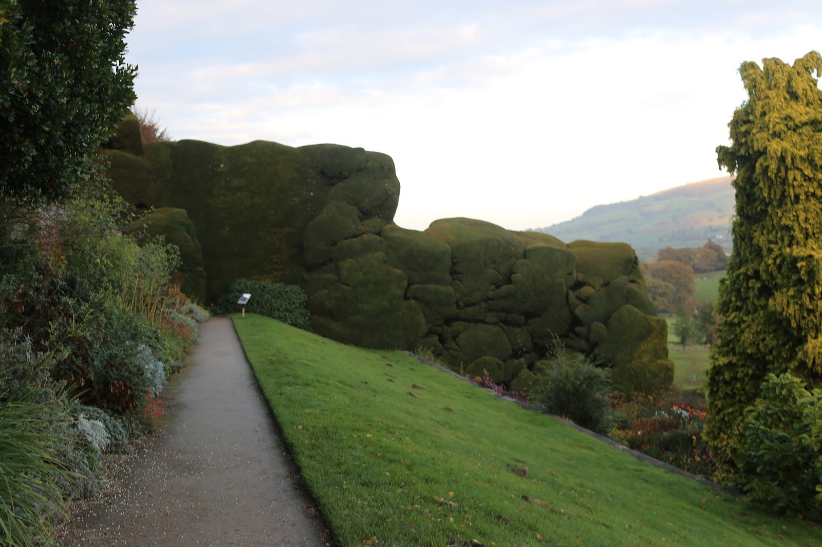 crazy cambridge mum: Corndon Hill/ Mitchell’s Fold stone circle and ...