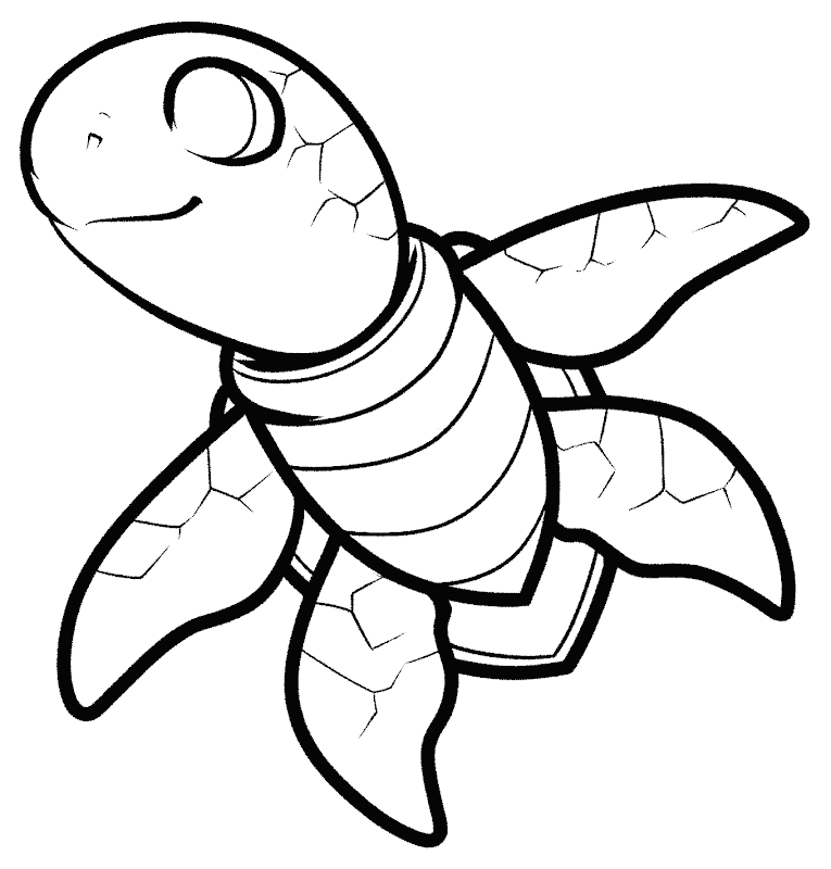 Mewarnai Gambar Penyu Lucu Untuk Anak PAUD dan TK | Mewarnai Gambar
