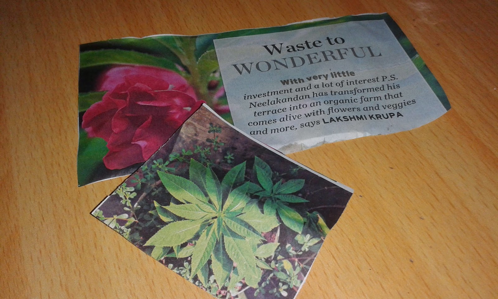 Thoughts...: Waste to Wonderful....