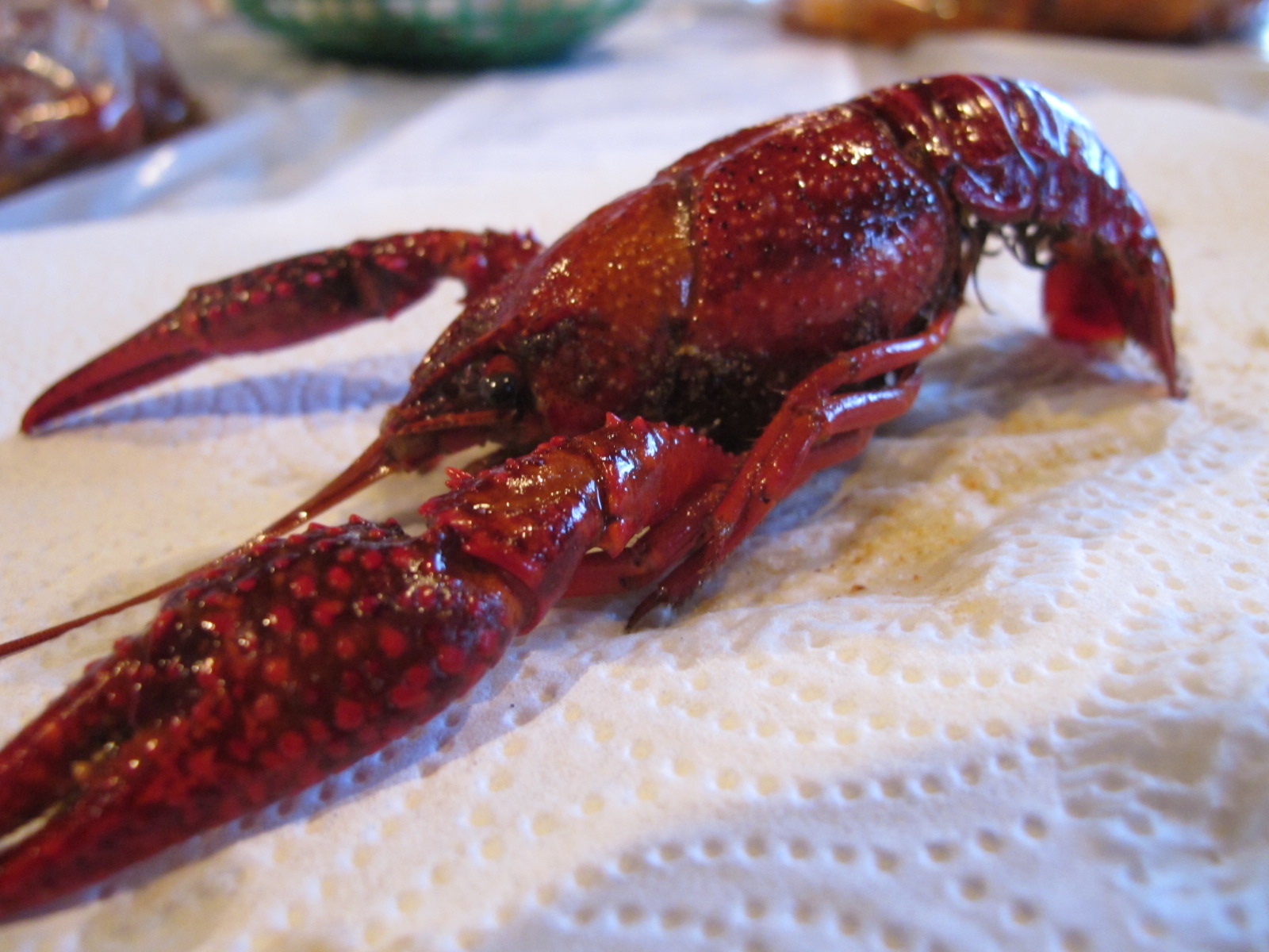 a cup of JOS': HOT n JUICY CRAWFISH