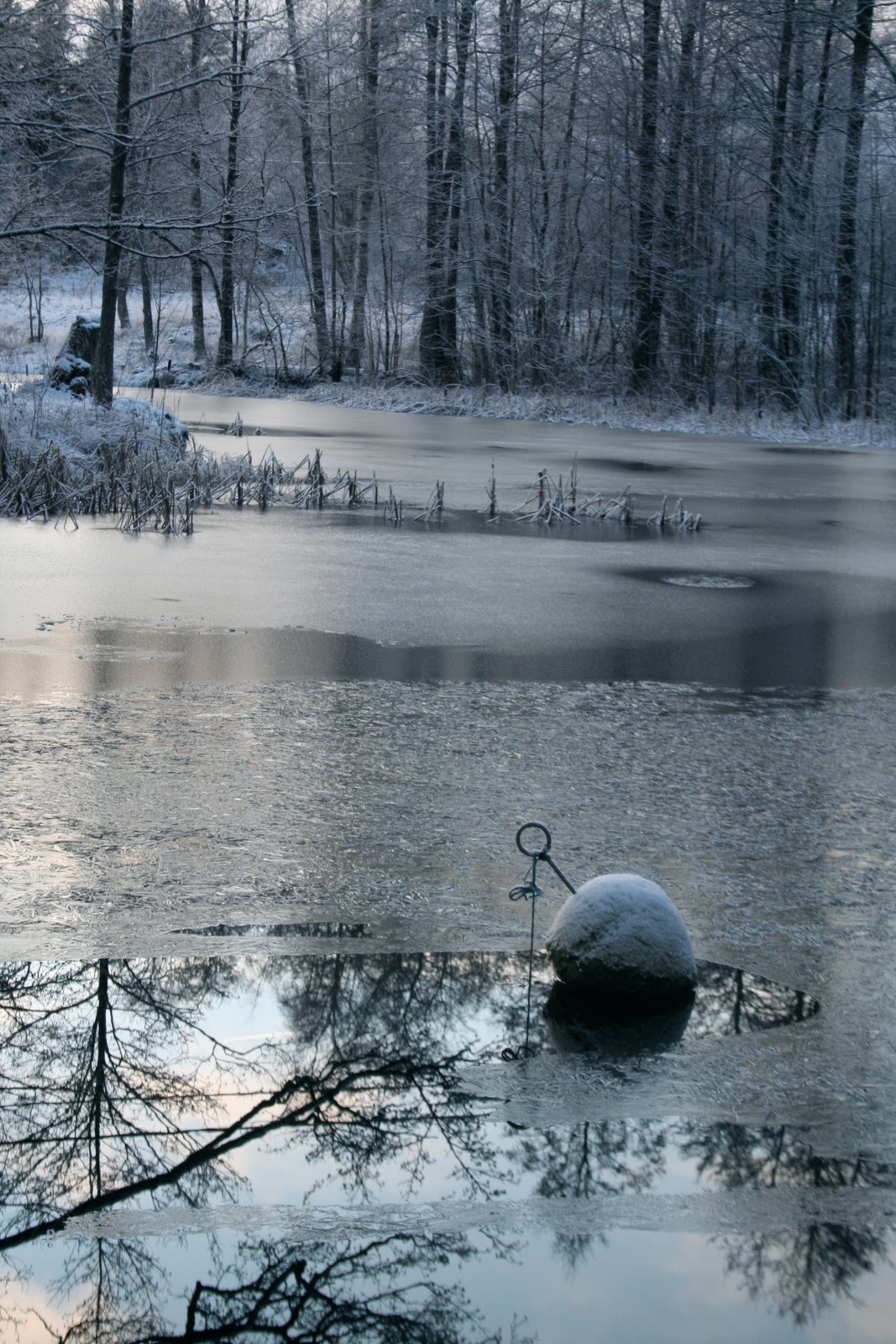Fabulös inspiration: På promenad