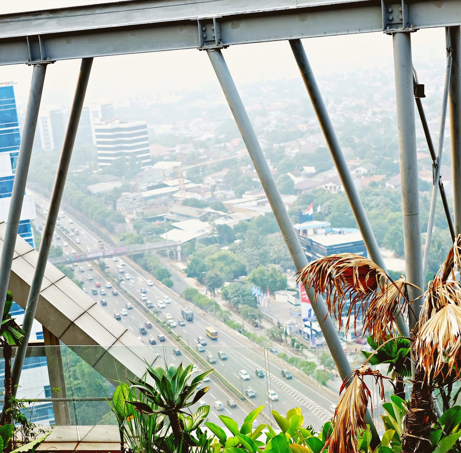 chiky: Soupanova Ecosky - The Highest Garden Restaurant, Bar & Lounge ...