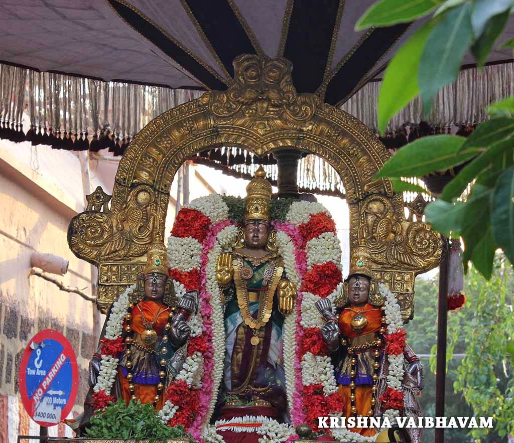 Krishna Vaibhavam: Chithirai Hastham Varadhar Purappadu | Triplicane ...