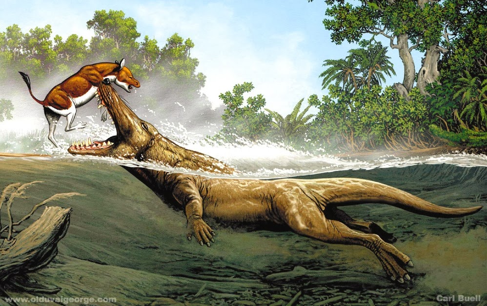 Mundo Pré-Histórico: Ambulocetus, a baleia que andava