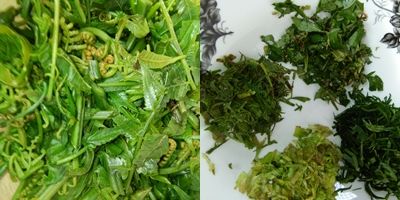 Kerabu Pucuk Paku Pakis