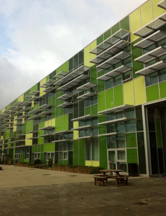 IKT och lärande: New Line Learning Academy - London