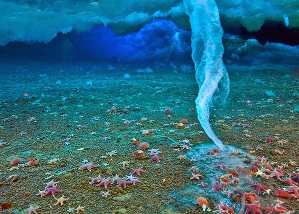 Voce Sabia?: 10 Fenômenos diferentes que acontecem em nosso planeta e ...