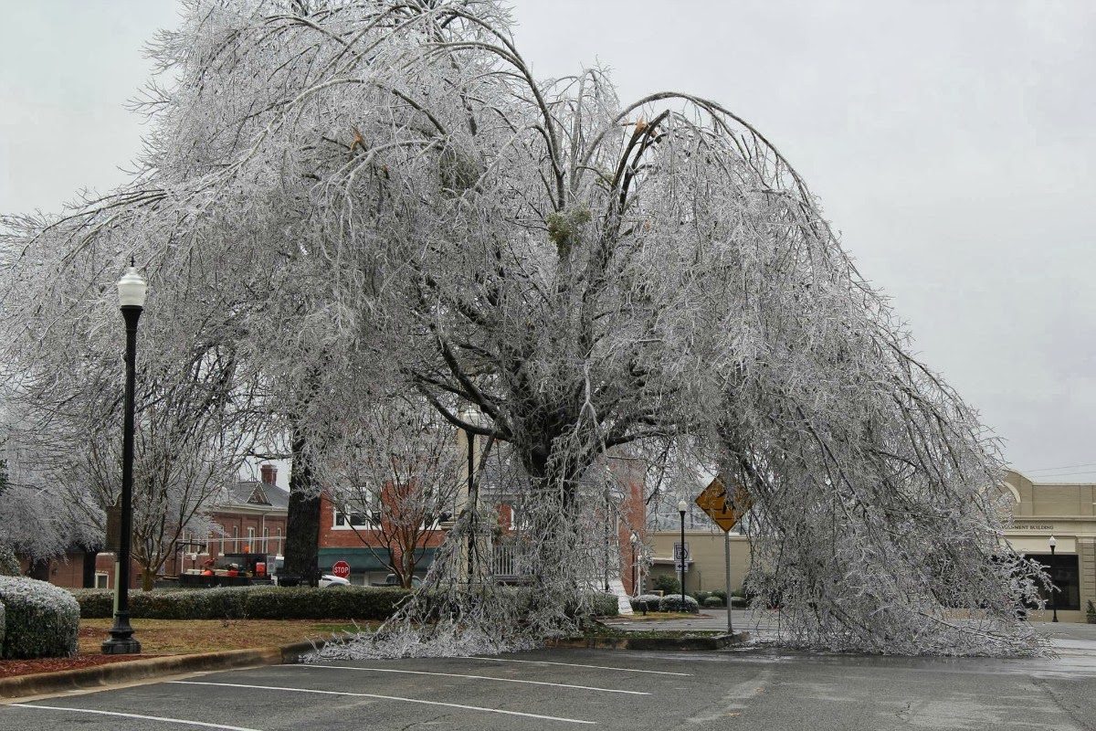 Vintage Girl 901: Middle Georgia Ice Storm