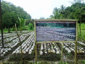 DXUP Teleradyo: Ang mga Pagbabago sa Pagsasaka o ang Modernong Pagsasaka