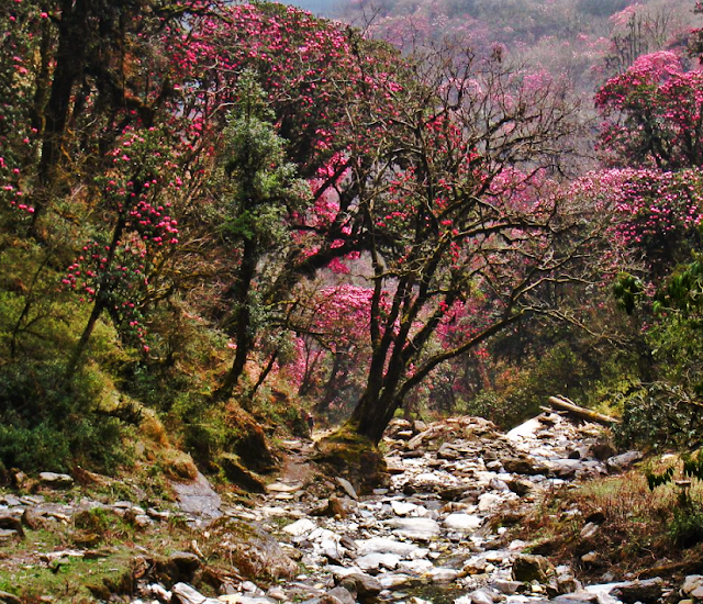 Preâmbulo: Laliguras, Nepal.