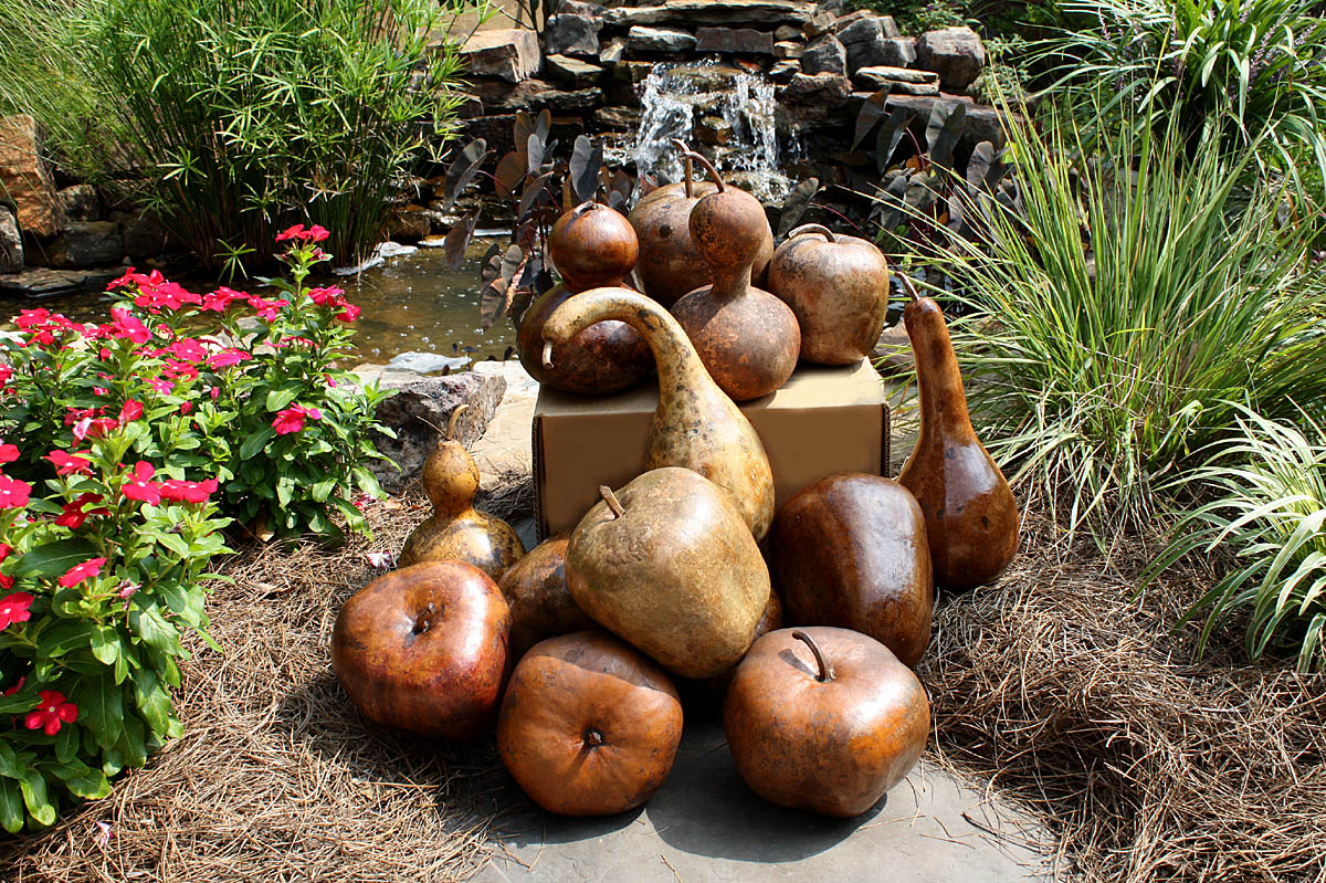 Southern Lagniappe: Decorating with Gourds