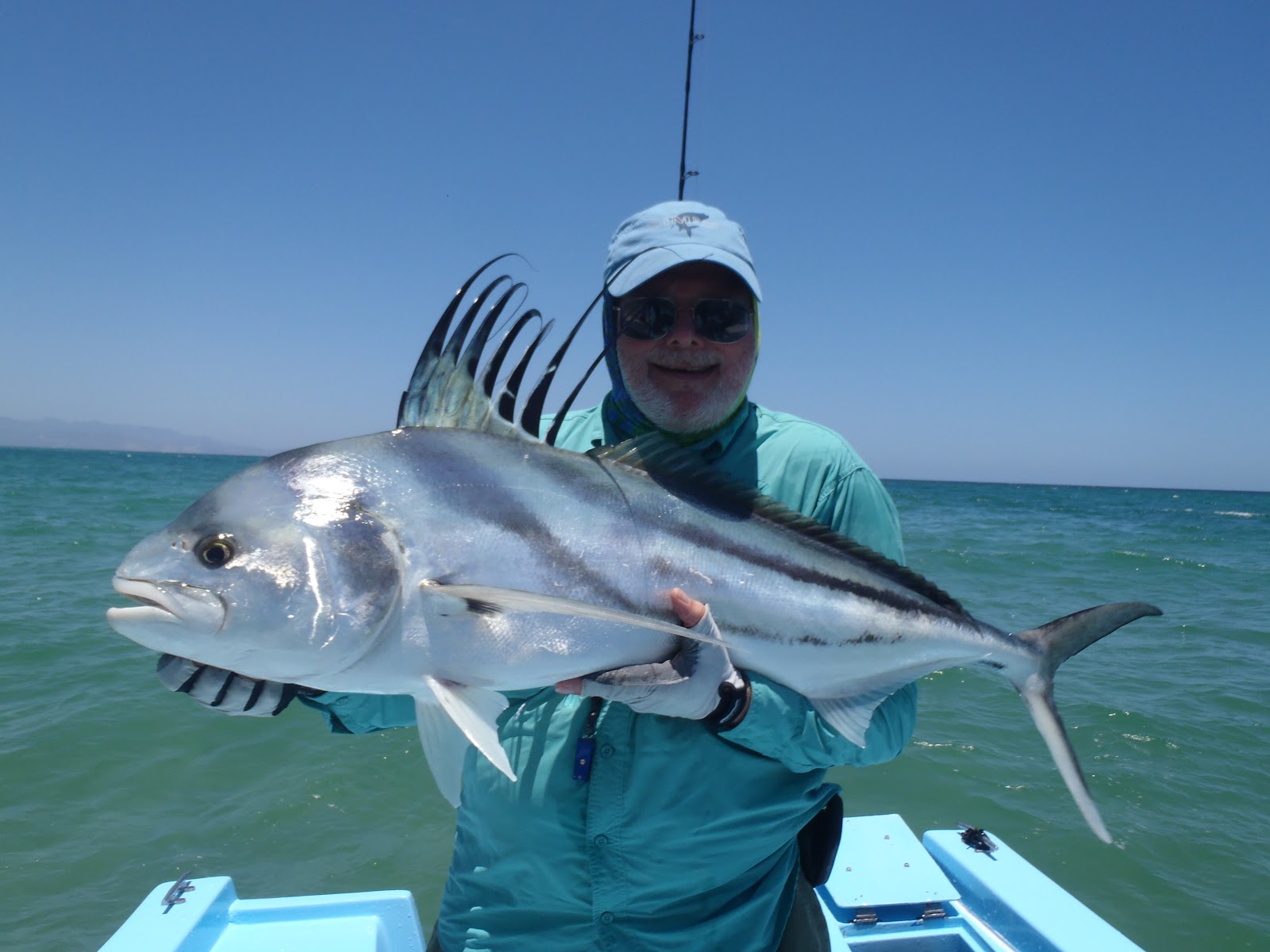 Roosterfish Flies