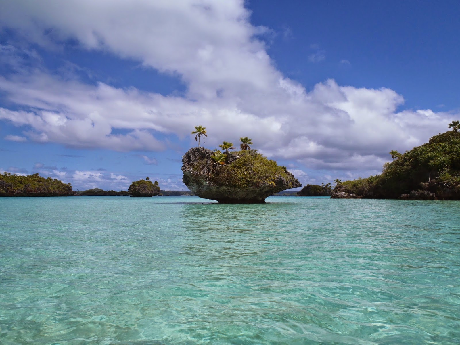 Ocean Echo 1: Lau Islands, Fiji - 2014