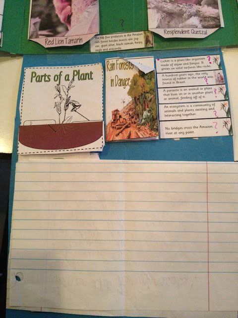 Learning In Grace: Rainforest Lapbook-Unit Study 5th Grade