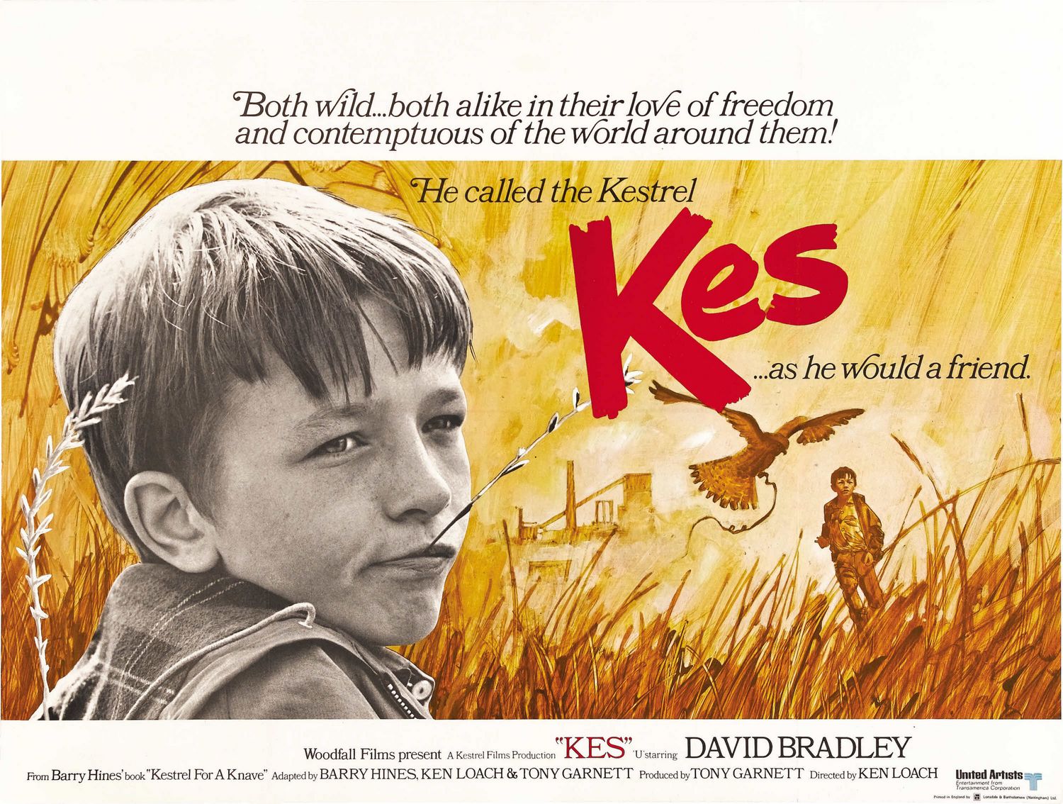 Passion for Movies: Kes [1969] – An Imaginative Lad’s Struggle against ...