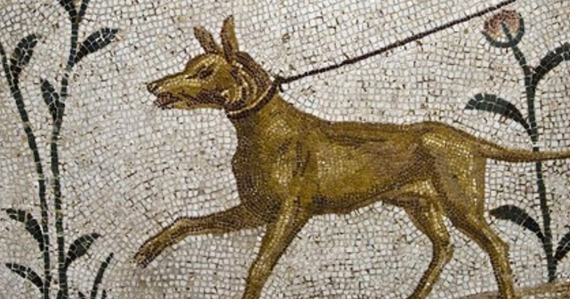 Ποια ονόματα έδιναν στα σκυλιά τους οι αρχαίοι Έλληνες;