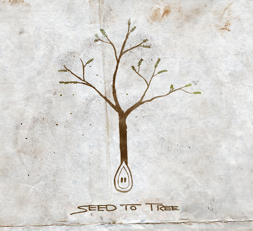 The Sound Of Confusion: Seed To Tree - Seed To Tree EP