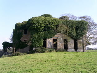 Lord Belmont in Northern Ireland: Lisheen House
