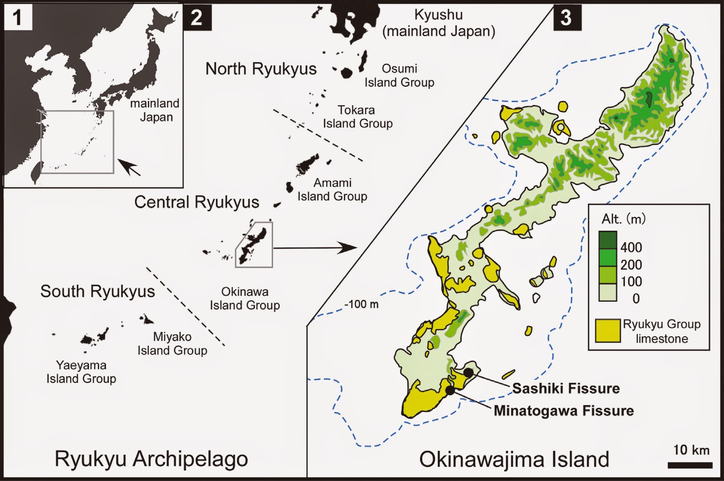 Sciency Thoughts: The enigmatic Pleistocene Amphibians of Okinawa Island.