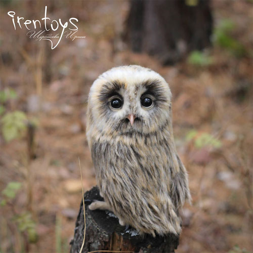My Owl Barn: Russian Artist Creates Realistic Animal Sculptures