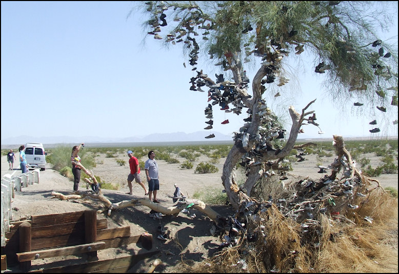 Spare Parts and Pics: The Original Desert Shoe Tree (or what's left of it!)