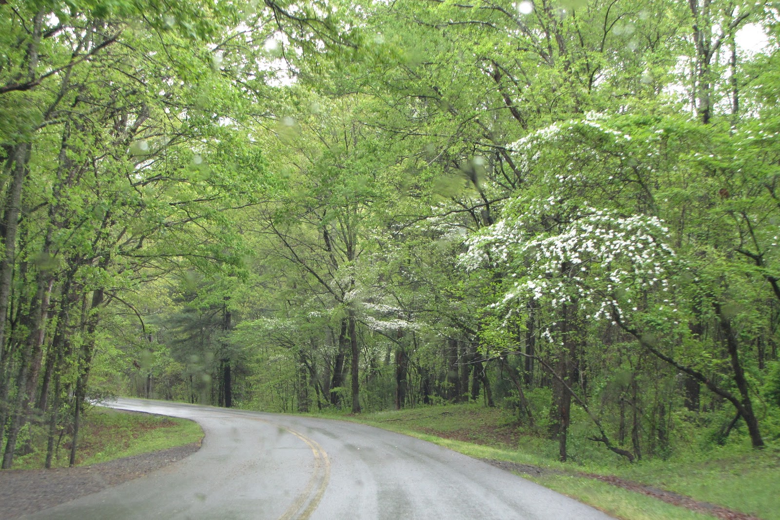 To Behold the Beauty: The Blue Ridge Parkway, Part 3