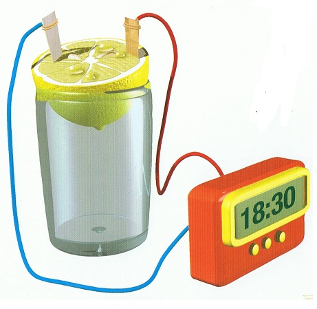 Experimentos en Educación Primaria e Infantil: ¡Cómo un limón se ...