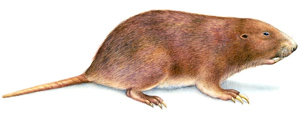 Mi blog de Castellano 4º A (ADC) 2015/2016: 2015