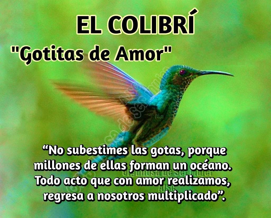TU GRANITO DE ARENA. Por Merlina Meiler y LA FABULA DEL COLIBRI - Blog ...