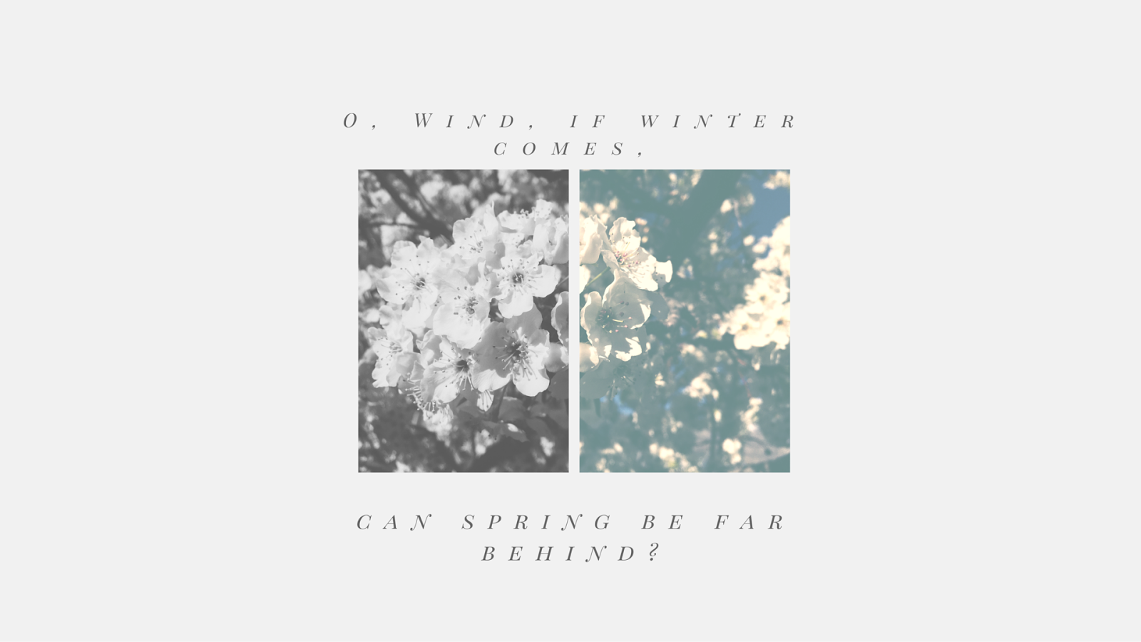 Spring Tumblr Quotes