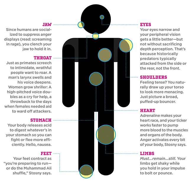 Capacity Building and Development : Anger Management isn't as difficult ...