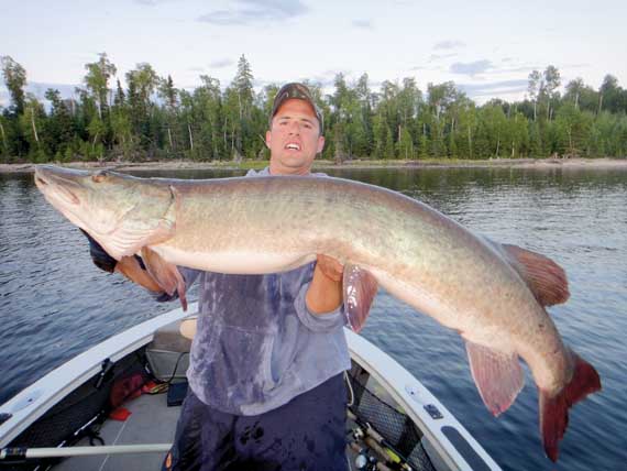 International Fishing News: CANADA: Ontario biggest muskie ever