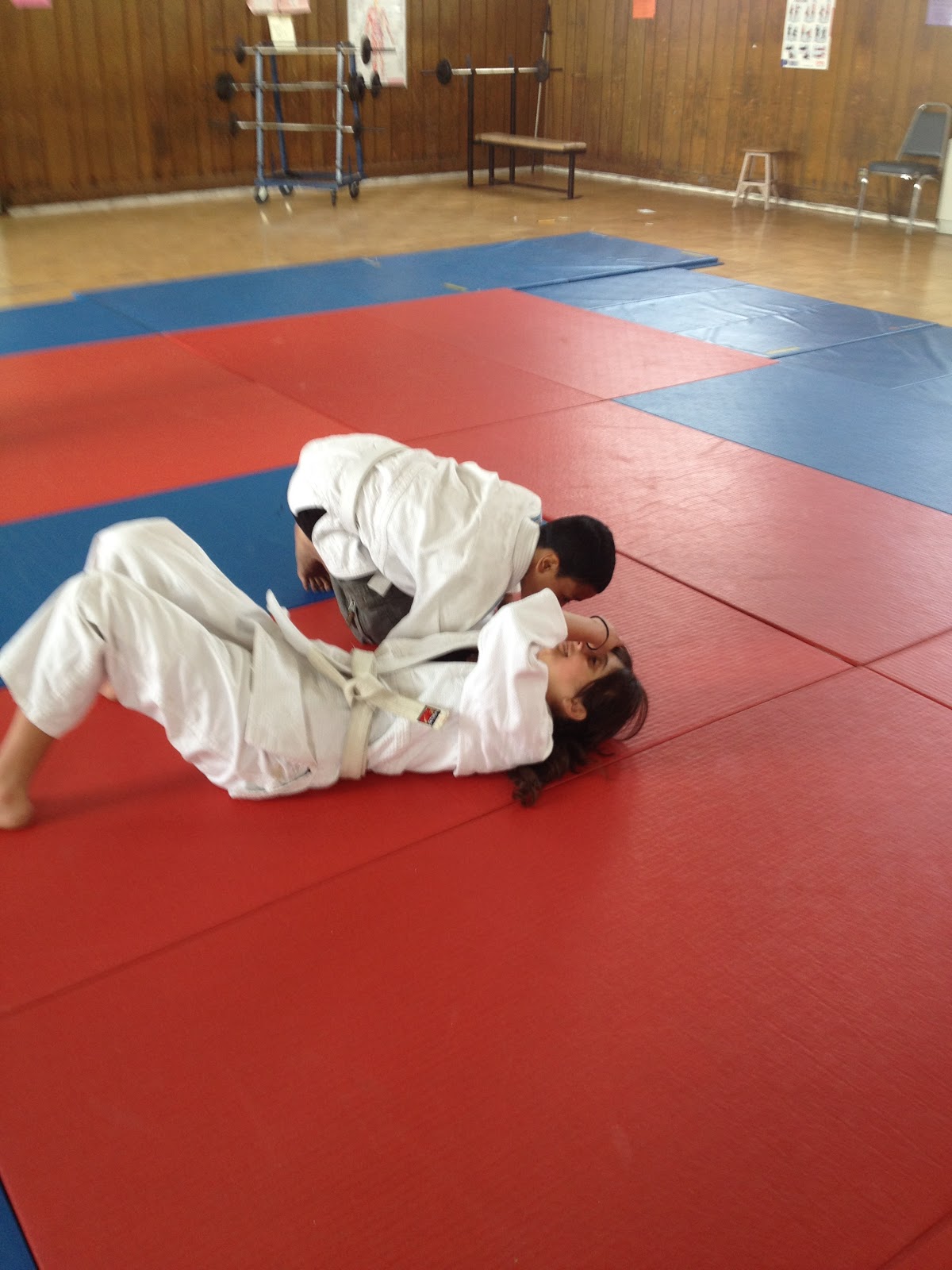 The Business/Judo of Life: Throw, Pin, Armbar