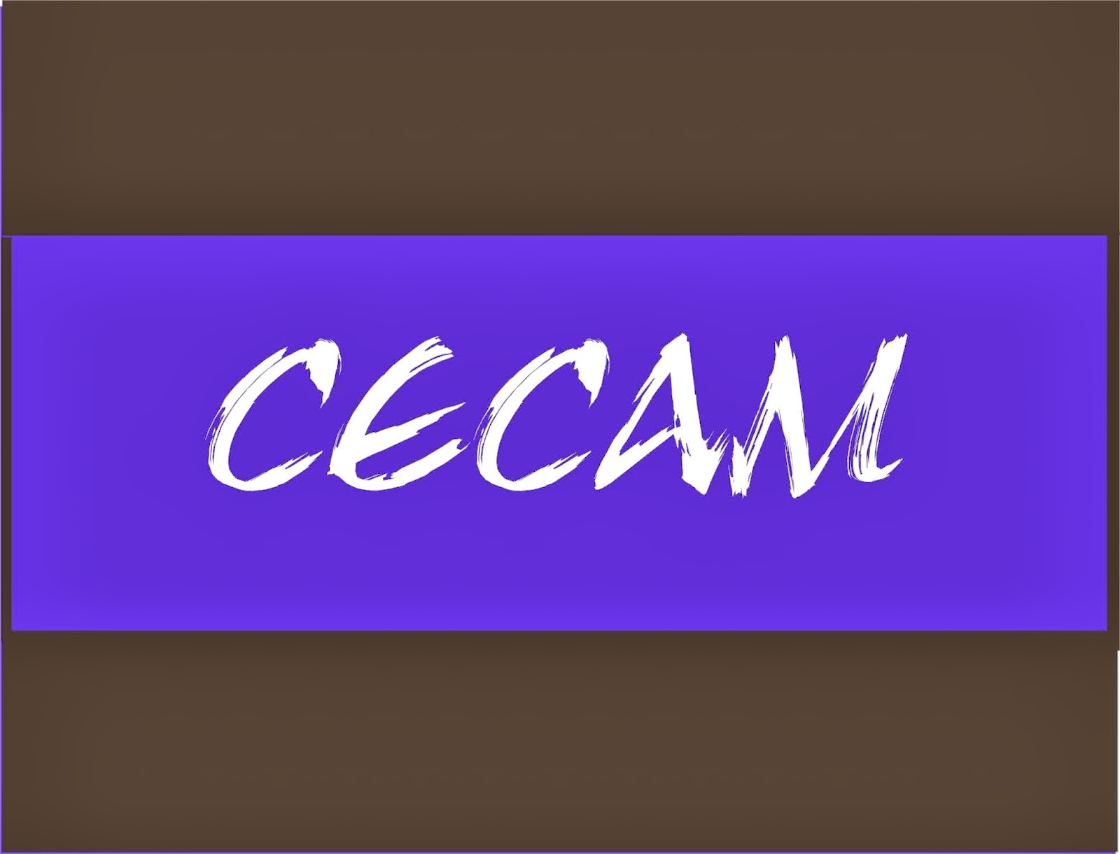 CECAM: PROGRAMAS