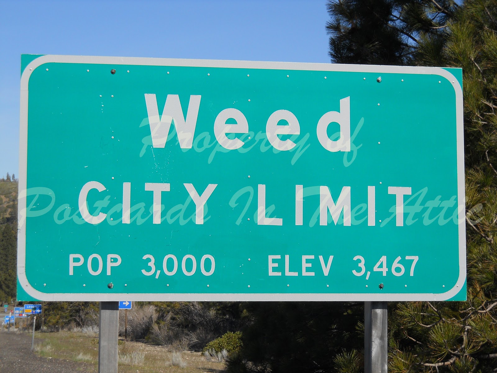 Wandering Wednesday - Weed, California - ButterflyInTheAttic