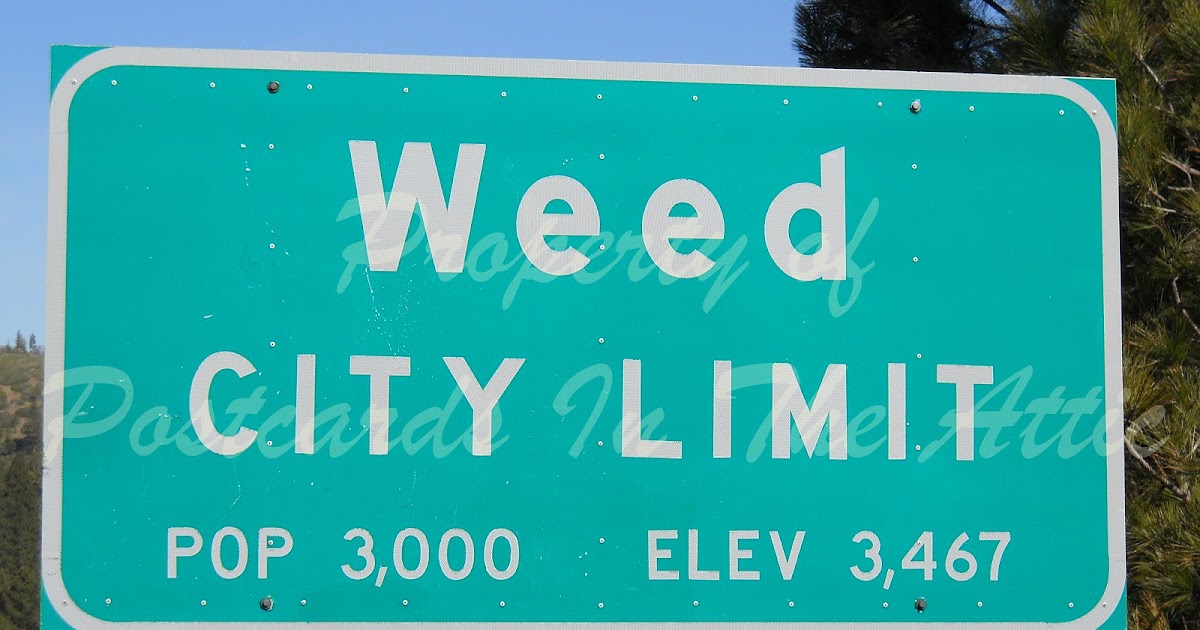 Wandering Wednesday - Weed, California - ButterflyInTheAttic