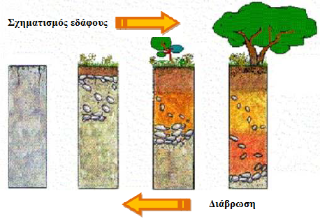 Ερευνώ, μαθαίνω, δρω: ΔΙΑΒΡΩΣΗ ΤΟΥ ΕΔΑΦΟΥΣ