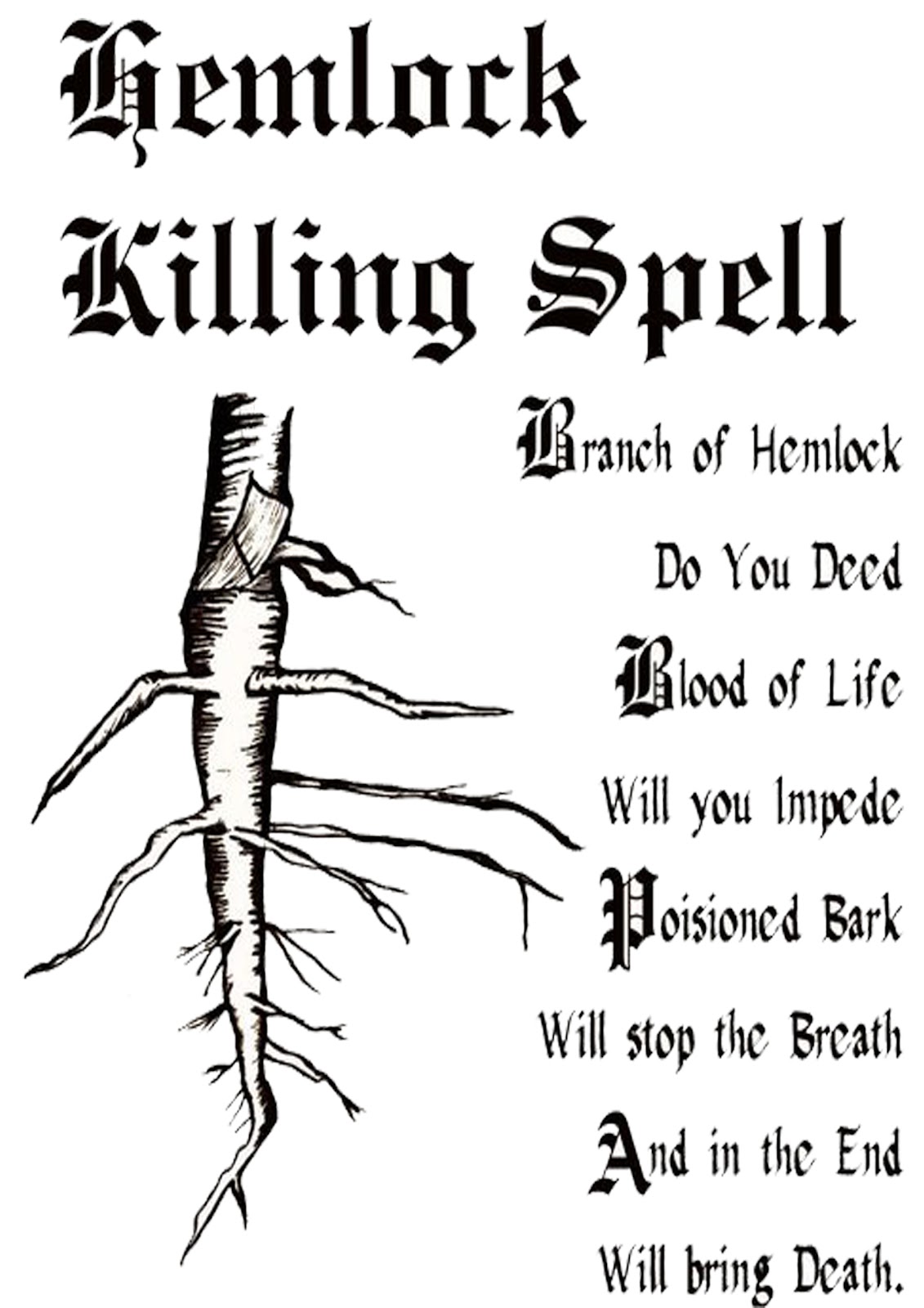 Book Of Shadows Pages: 12/17/12