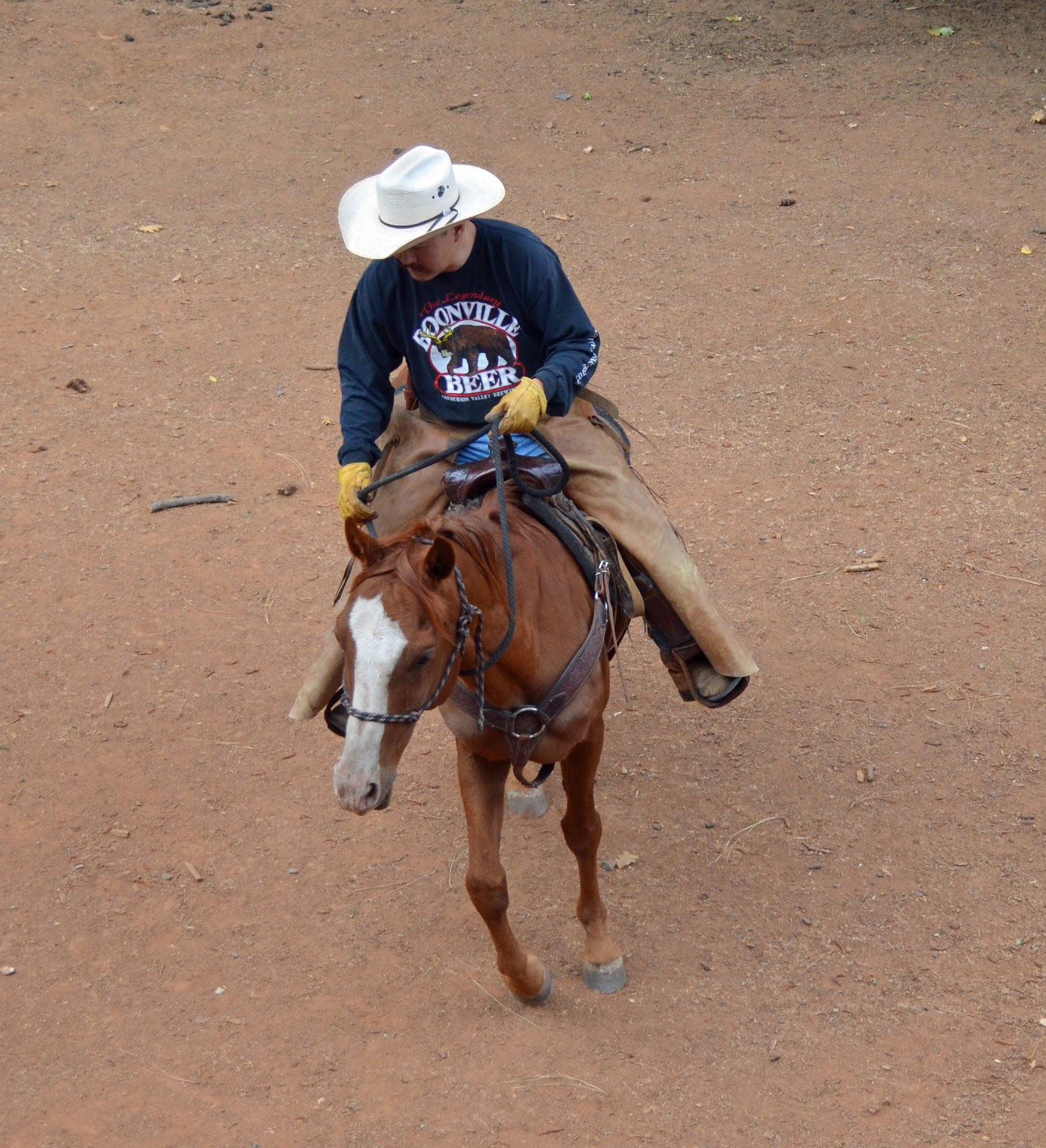 Discovering Ranch Life: Introduktion till en av höstens spännande ...