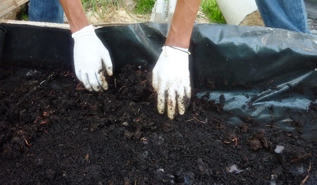 O uso da vermicompostagem na agricultura | O Canto do Bem-te-vi