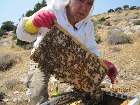 ΜΕΛΙΣΣΟΚΟΜΙΑ ΝΑΞΟΥ-NAXOS BEE