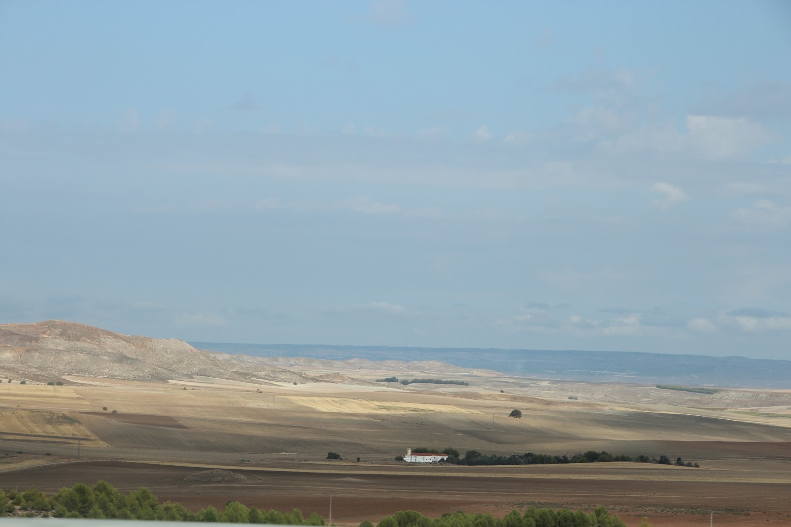 Historia y Genealogía: Tarancón. Cuenca