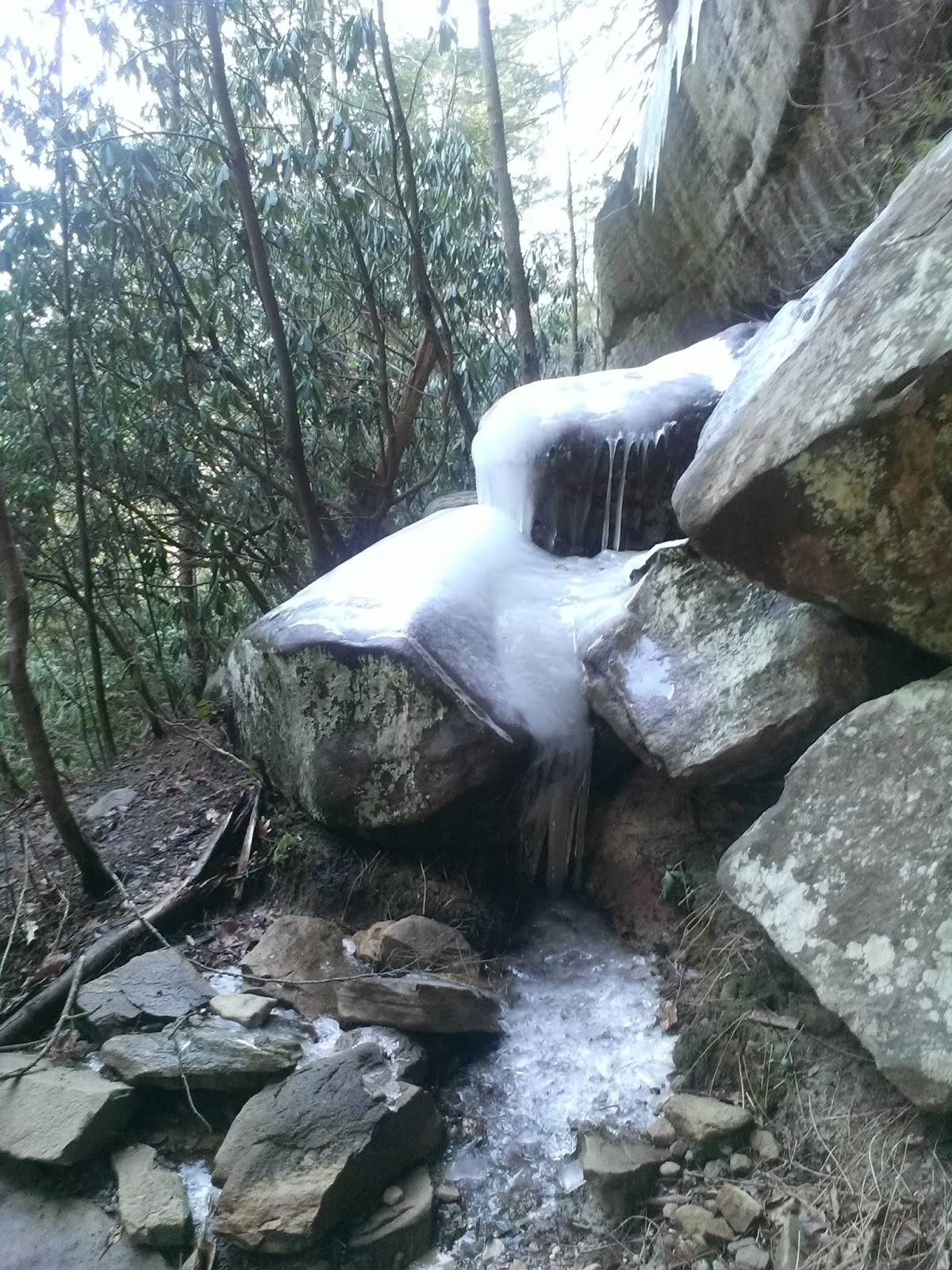 TRAVELING on a BUDGET : Northrup Falls located at Colditz Cove State ...