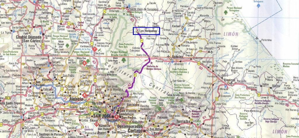 Frog's Heaven -Aves- -Horquetas de Sarapiquí, Heredia- | Explore Costa Rica