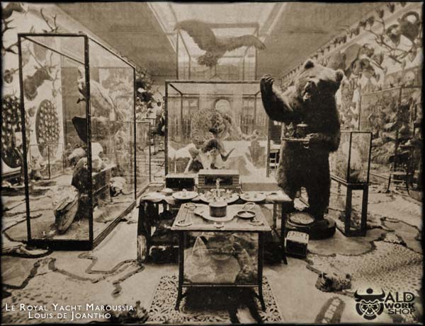 VIVE LE ROI, Philippe VIII, Duc d'Orléans | Rowland Ward Taxidermist ...