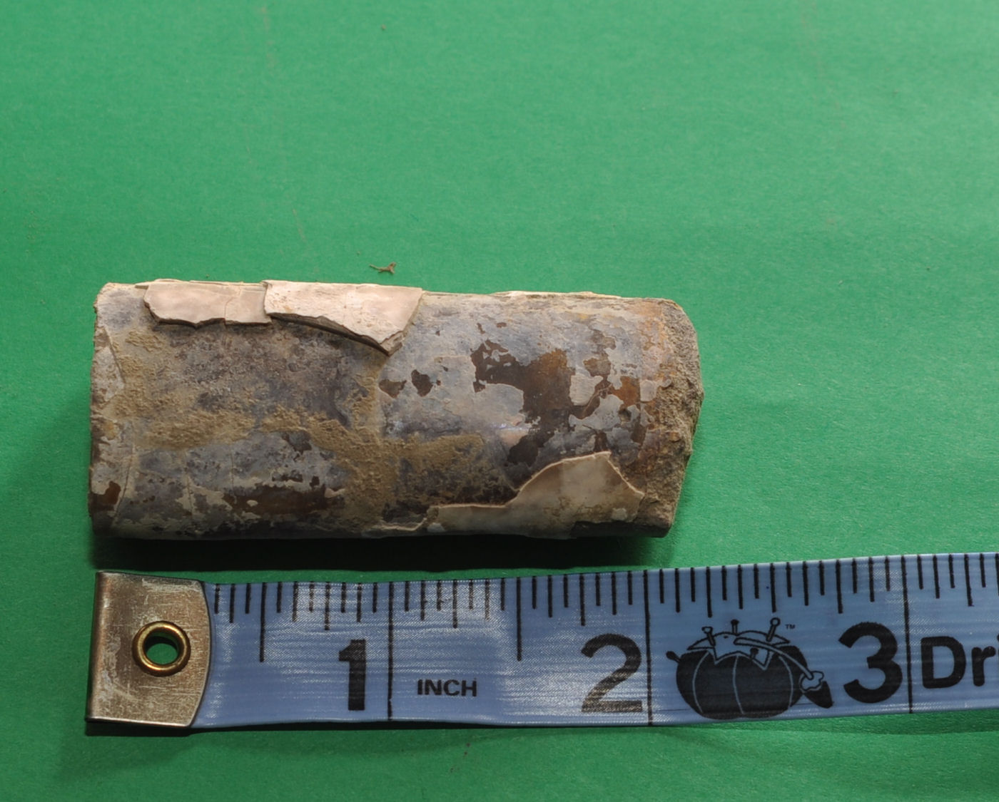 The Colorado Geographer: Baculite Mesa